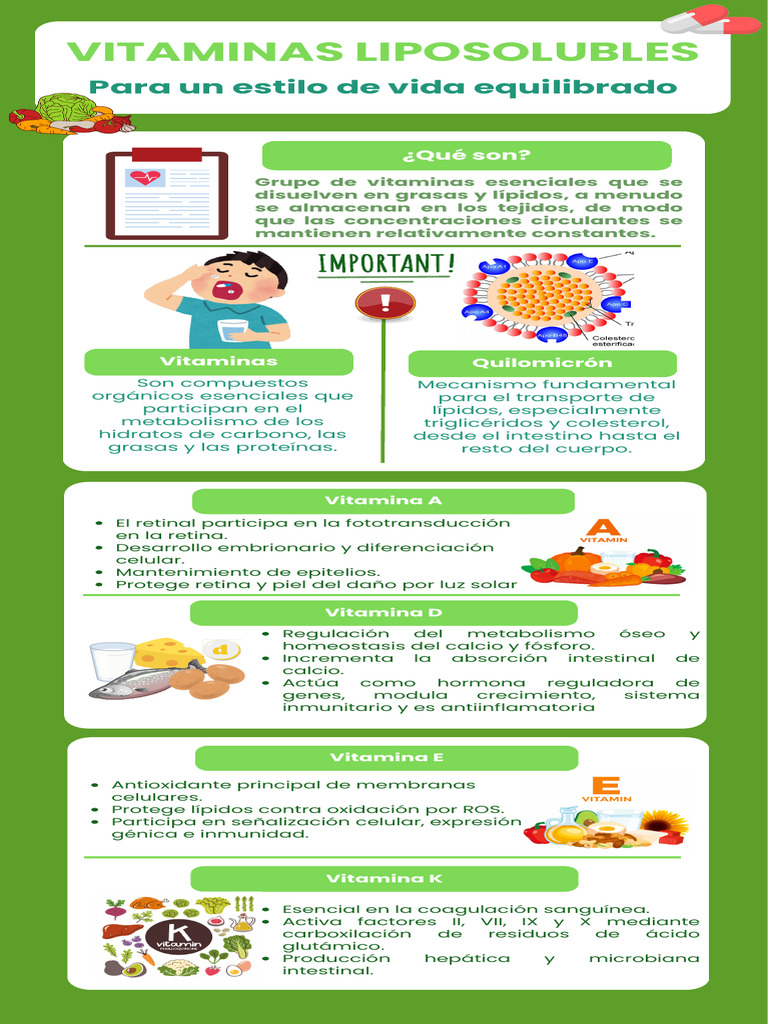 Vitaminas Liposolubles: Funciones Esenciales | PDF