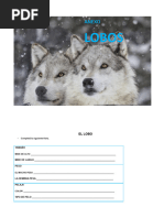 Anexo Lobos Continuemos Estudiando | PDF | Zoología