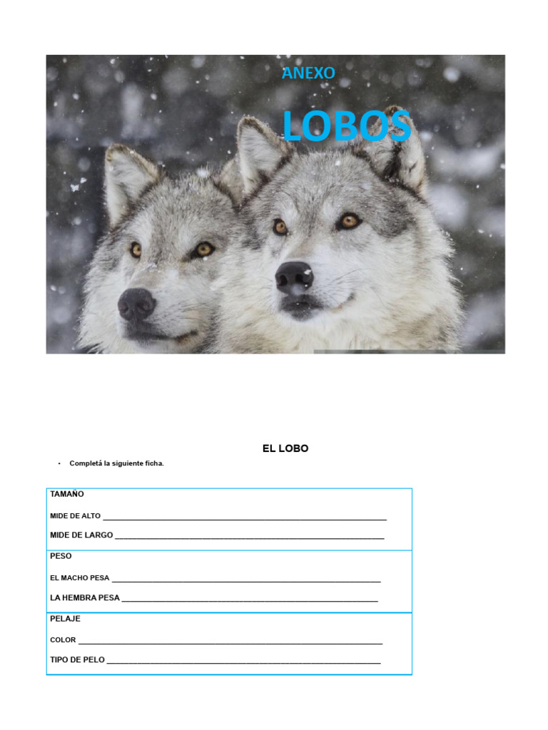 Anexo Lobos | PDF | Piel | Zoología