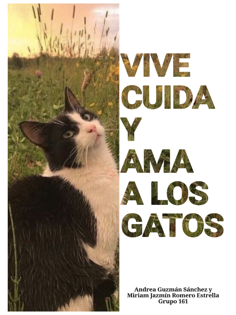 Practica Powerpoint 161 Andrea y Jazmin | PDF