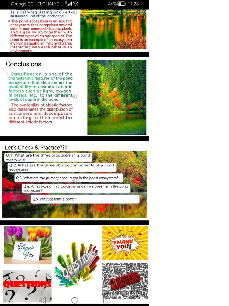 Sahar_Ashraf_Ali_Pond_Ecosystem | PDF