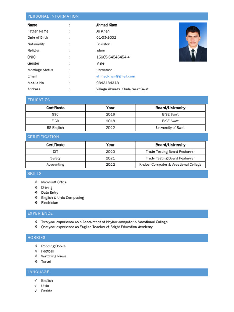 Simple CV | PDF