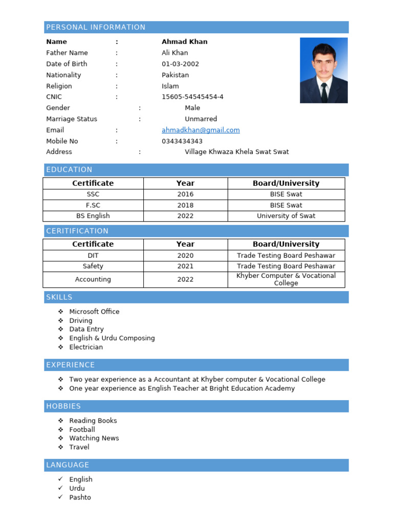 Simple CV | PDF
