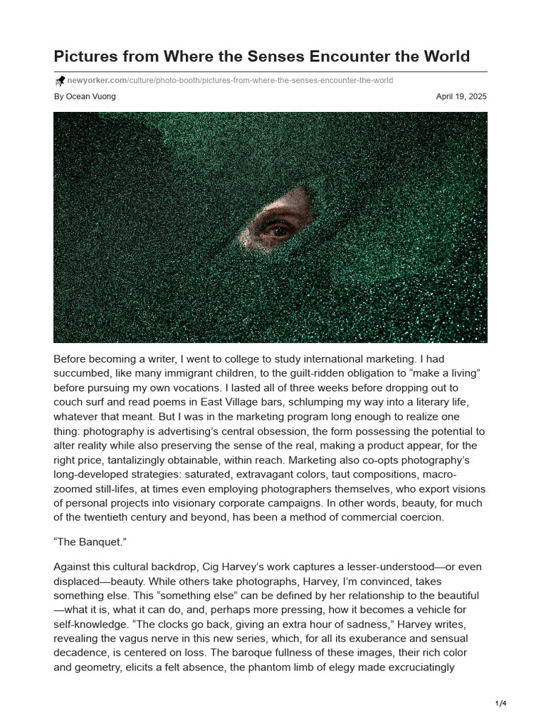 Pictures From Where The Senses Encounter The World | PDF
