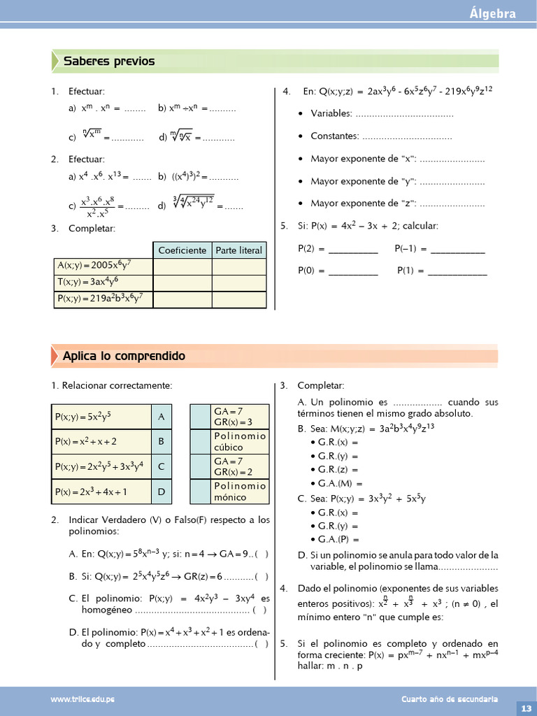 Pract. Polinom. 4 | PDF | Informática teórica | Relaciones matematicas
