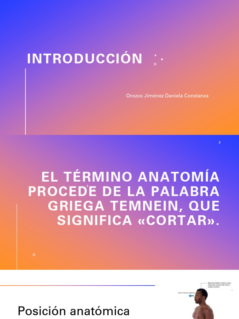 ANATOMIA | PDF | Términos anatómicos de ubicación