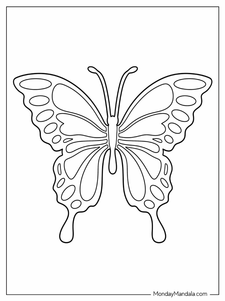 Full Page Realistic Butterfly Template | PDF