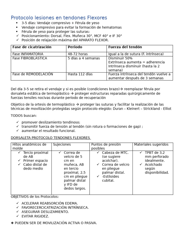 Protocolo Lesiones en Tendones | PDF | Nervio | Mano