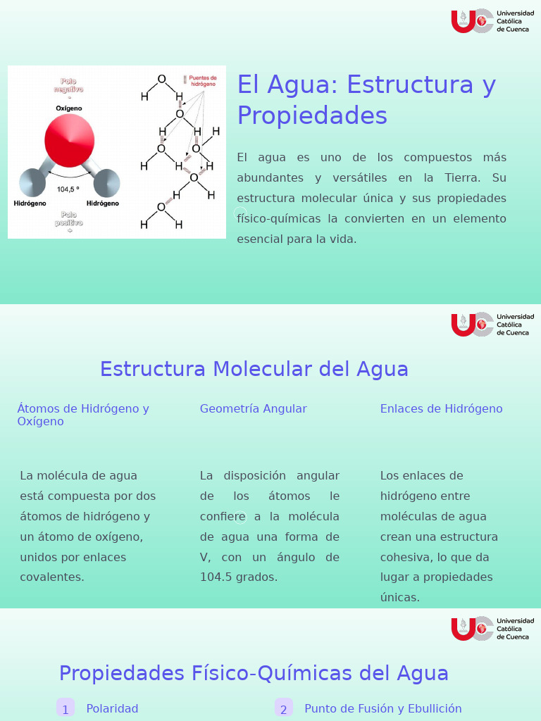 Estructura y Propiedades del Agua | PDF | Termorregulación | Agua