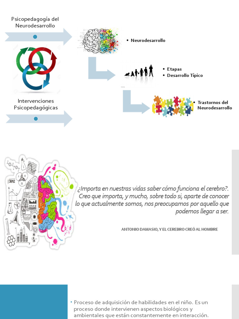 Etapas Del Neurodesarrollo | PDF | Cerebro | Desarrollo infantil
