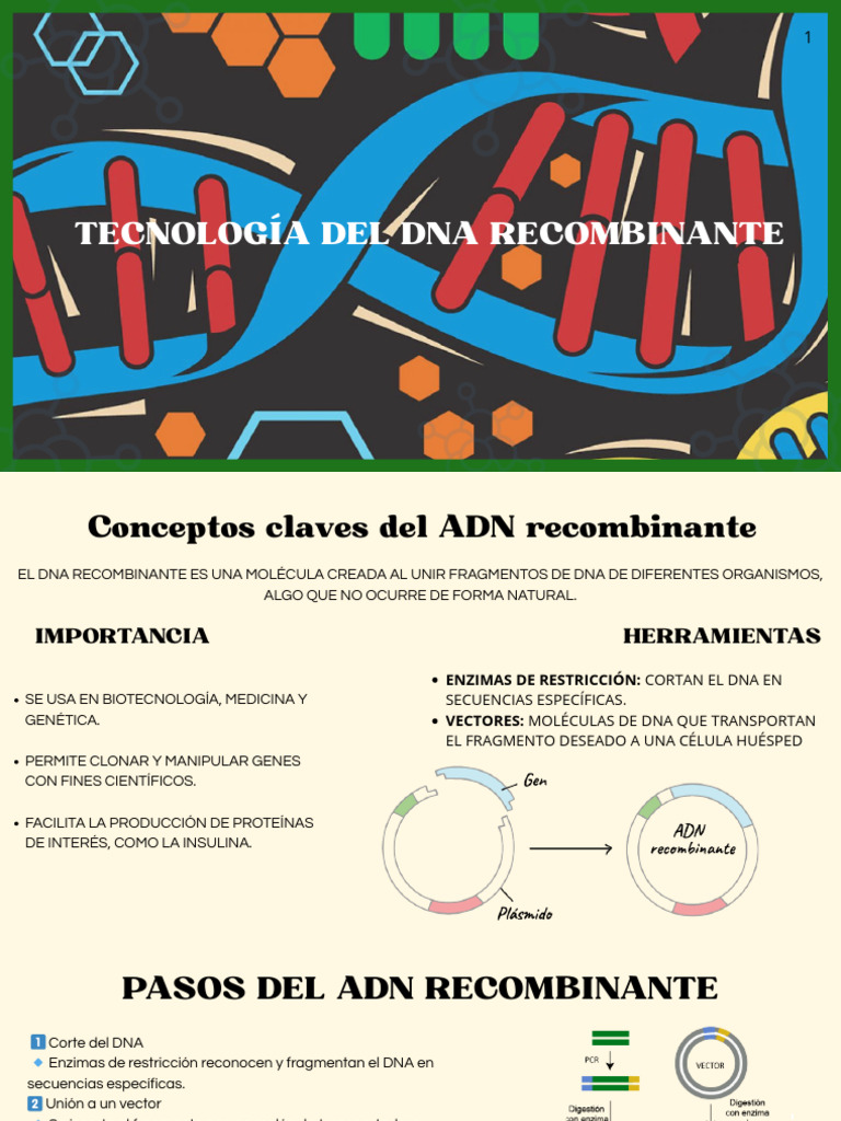 Tecnología Del Dna Recombinante | PDF | Plásmido | Adn