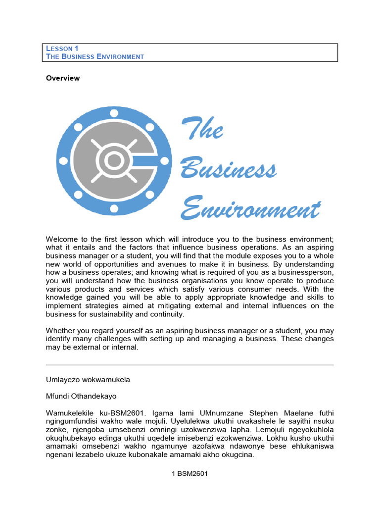 Understanding the Business Environment | PDF | Strategic Management ...