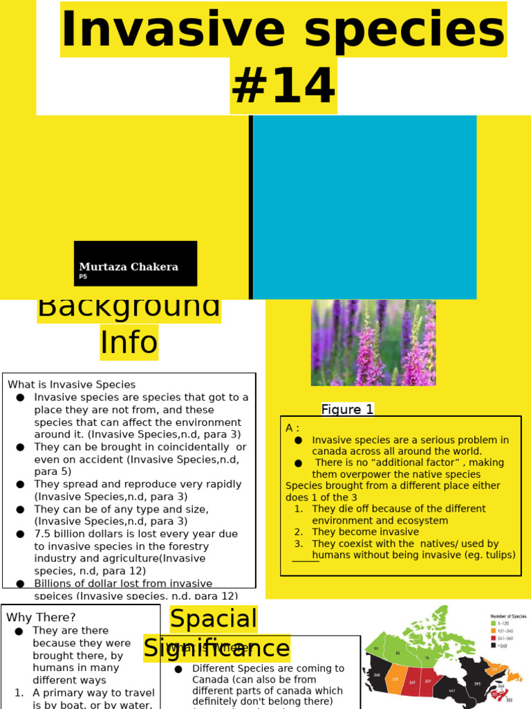 Geography Culminating | PDF | Invasive Species | Natural Environment