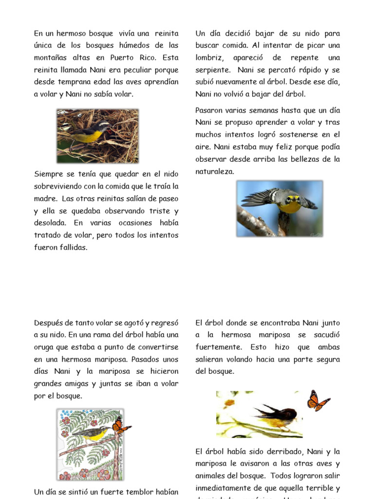 Nani, la reinita que aprendió a volar | PDF