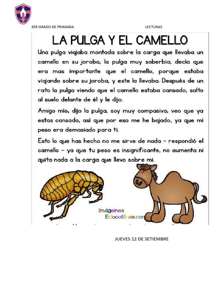 Lecturas para 3er Grado de Primaria | PDF