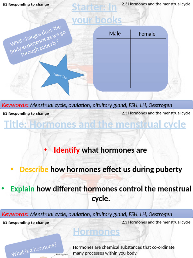 Menstrual Cycle and Fertility Drugs | PDF | In Vitro Fertilisation ...
