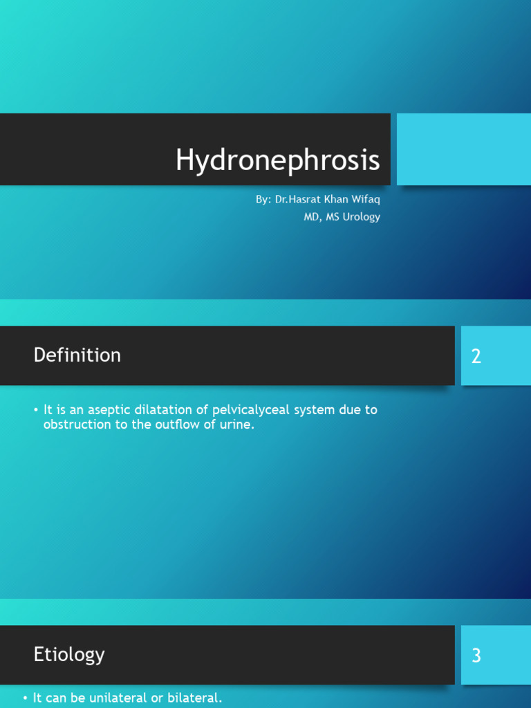 Hydronephrosis Pdf
