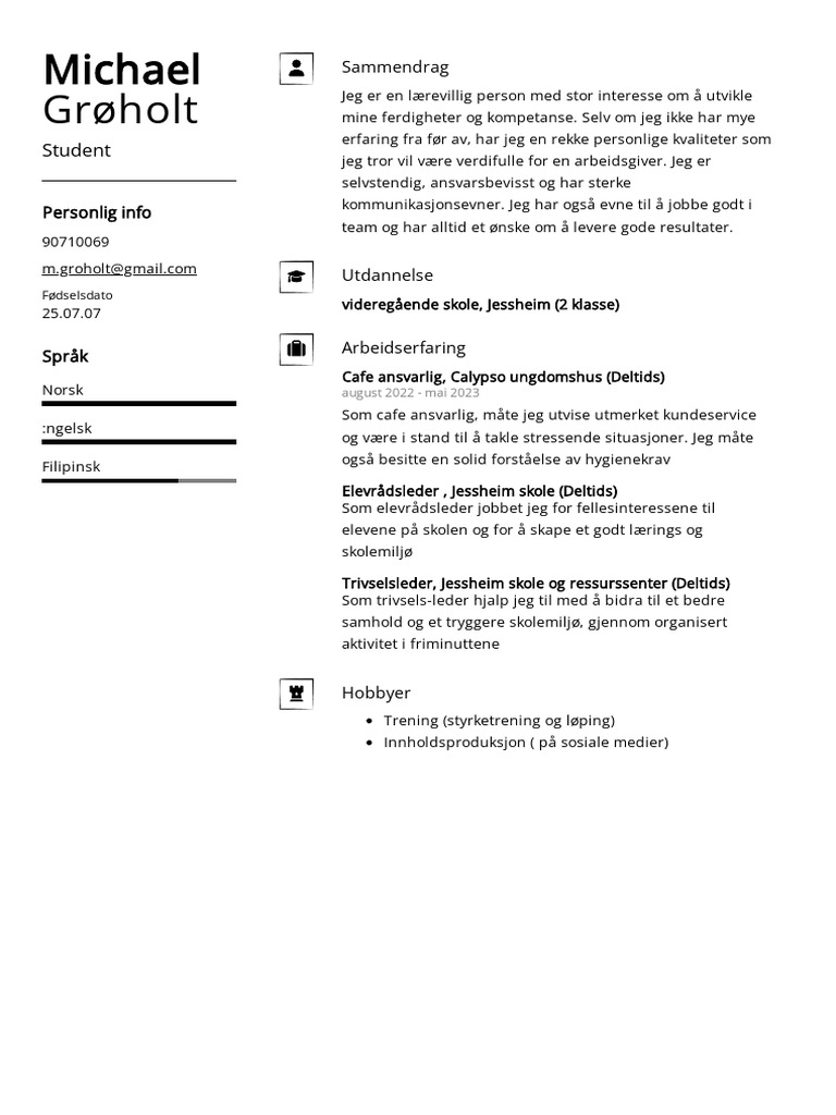 CV - Michael GrÃ Holt (3) 3 | PDF