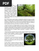 Características de PowerPoint | PDF