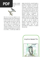 El Color de Mis Palabras Resumen Por Capitulos | PDF