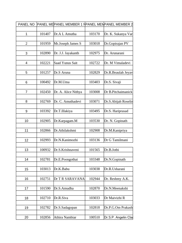 AI Project Panel Schedule 2025 | PDF