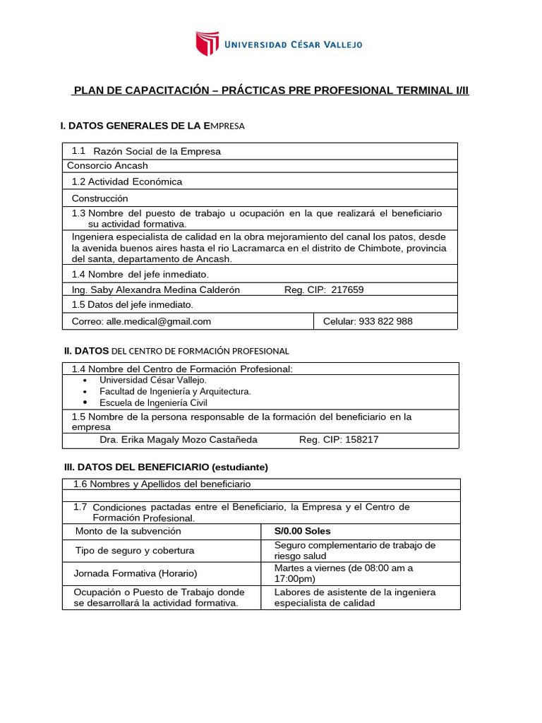 Formato Xxx-Plan de Practicas-Complementario-2025-I | PDF | Iniciativa empresarial | Liderazgo