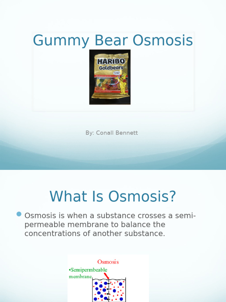 Science Fair Gummy Bears | PDF | Osmosis | Water