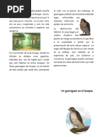 El Color de Mis Palabras Resumen Por Capitulos | PDF