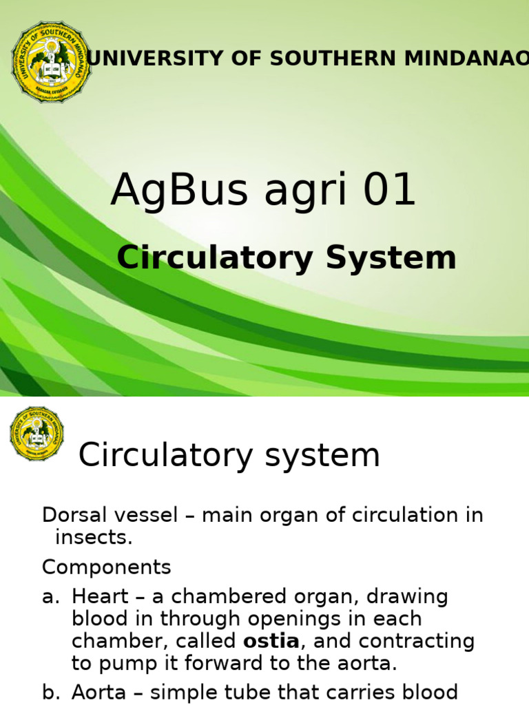 ENTOM-circulatory-SYSTEM | PDF