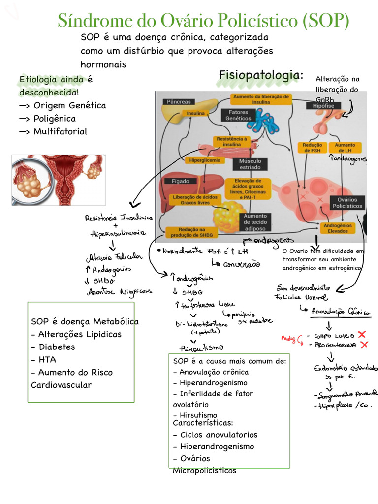 Sop | PDF