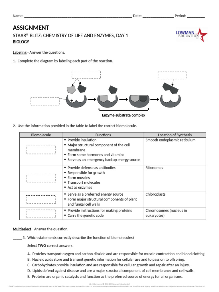 Day 1. Assignment. STAARr Blitz. Science. Biology - 1 | PDF | Cell (Biology) | Biology