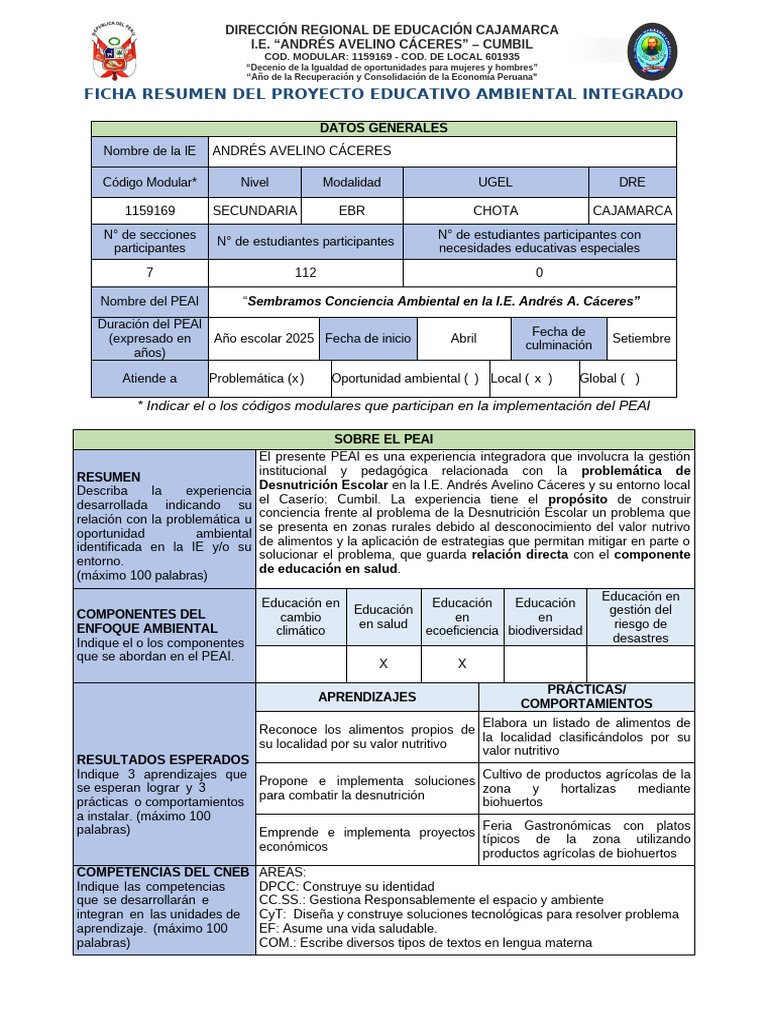 Ficha Resumen PEAI AAC | PDF