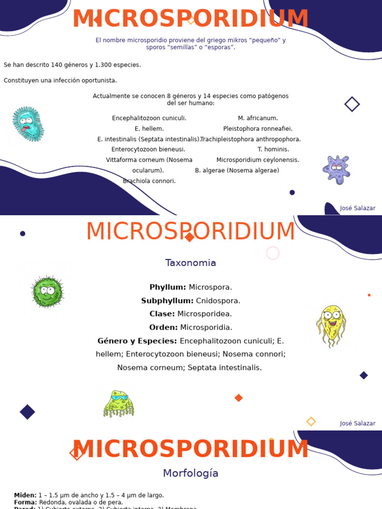 Infecciones por Microsporidium en Humanos | PDF | Biología Celular ...
