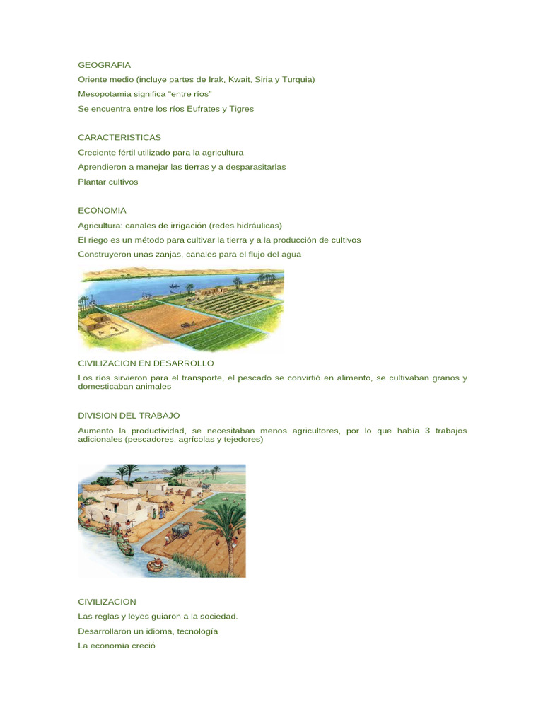 Mesopotamia: Agricultura y Civilización | PDF