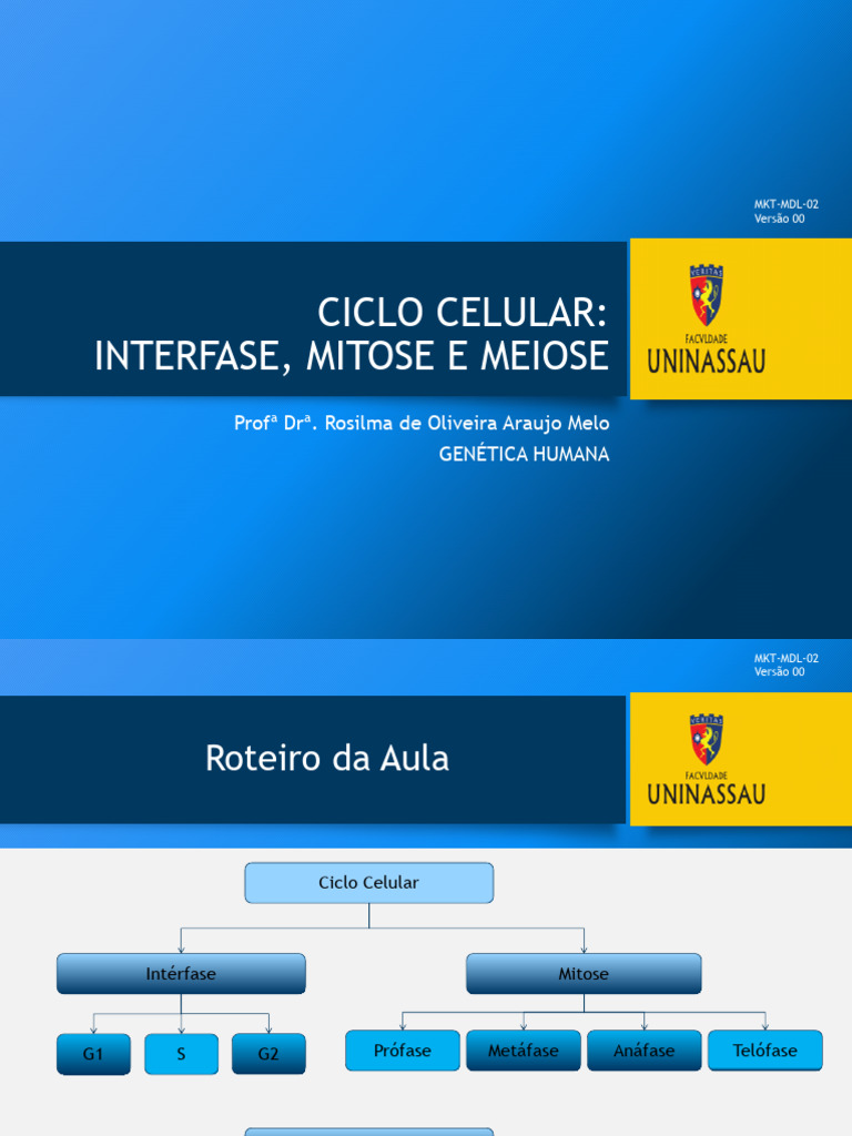 Aula 05. Ciclo Celular. Interfase, Mitose e Meiose | PDF | Meiose | Mitose