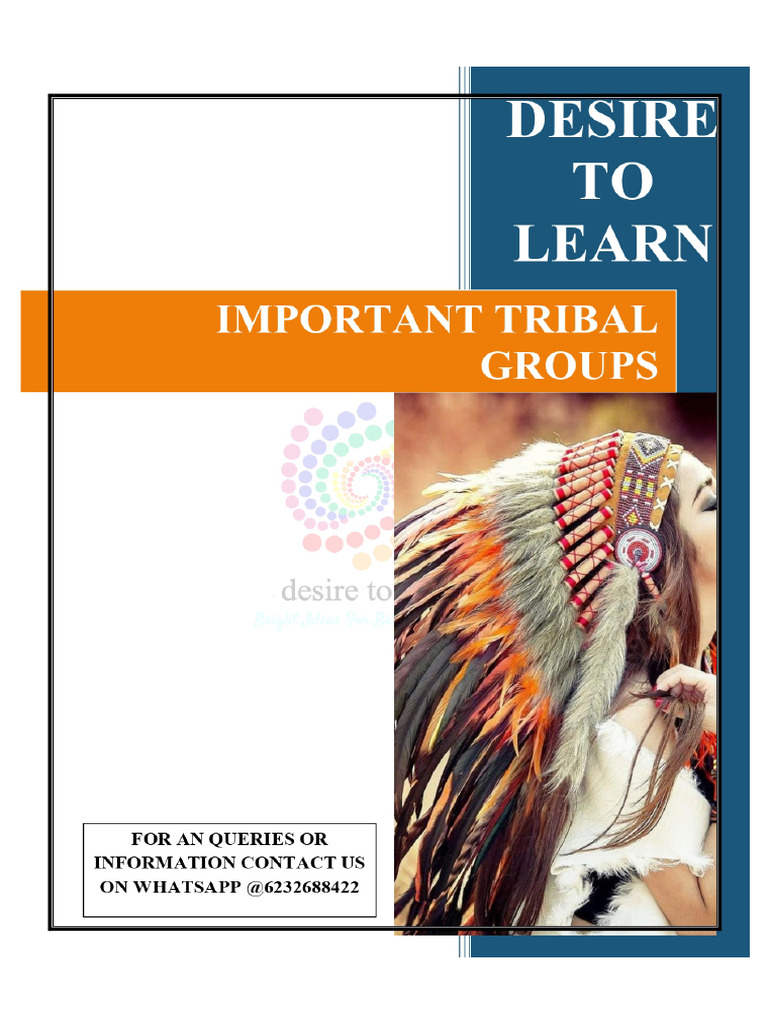 Important Tribal Groups | PDF