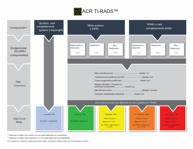Ti-Rads Poster Traducido | PDF