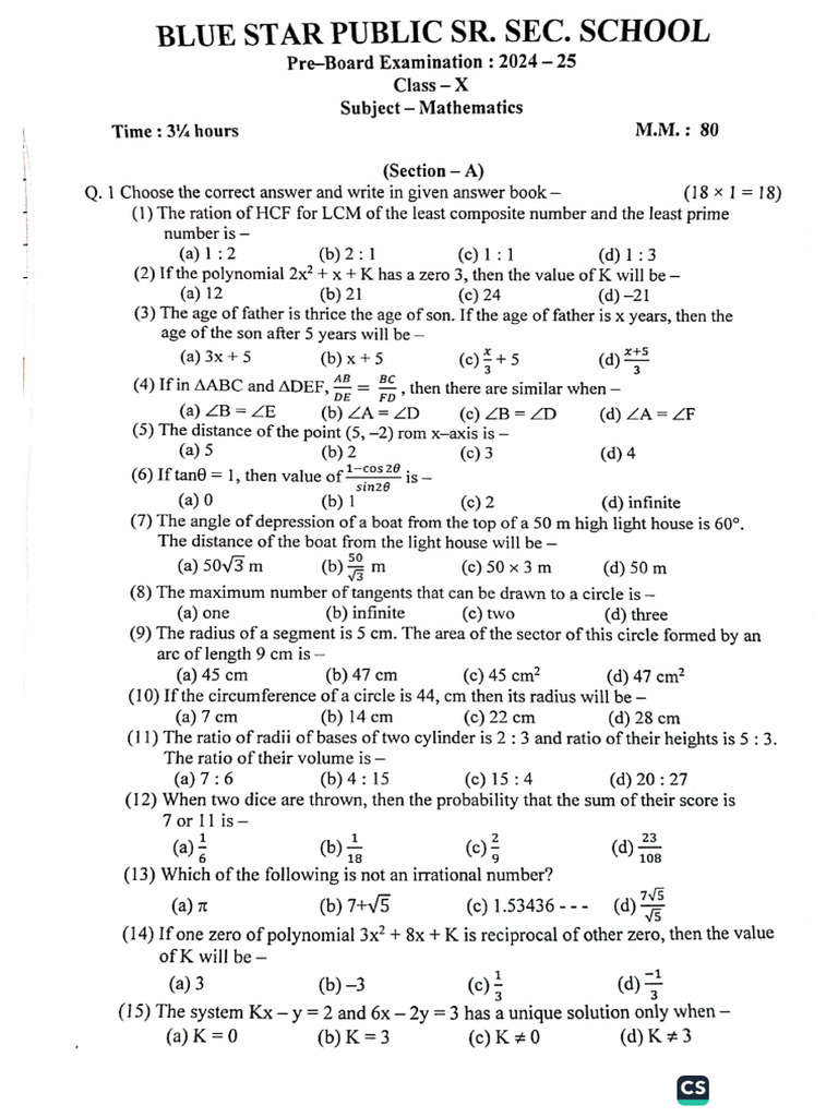 Preboard 2024-25 Maths | PDF