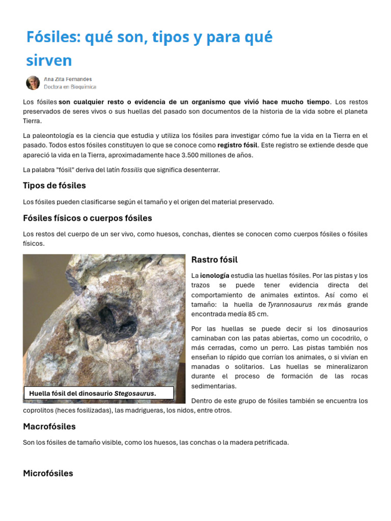 Los Fósiles | PDF | Fósil | Paleontología