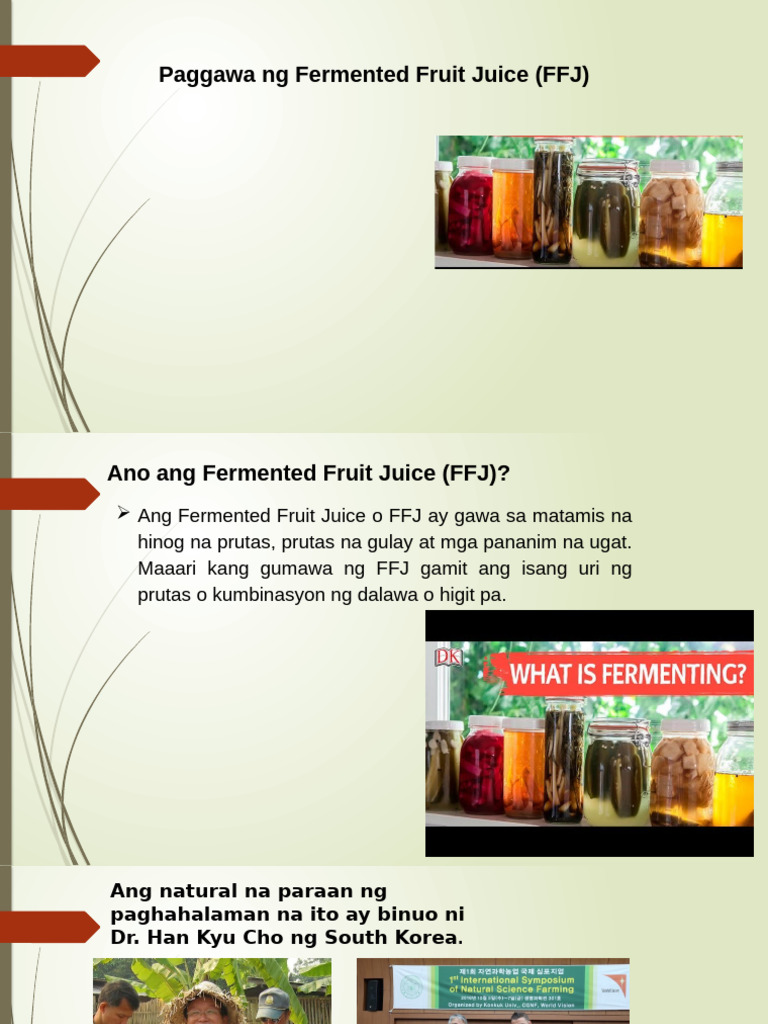 Paggawa NG Fermented Fruit Juice (FFJ) | PDF