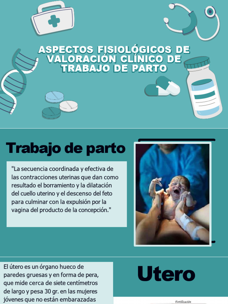 Temas Primer Parcial (Enfermería Obstetrica II) | PDF | Parto | El embarazo