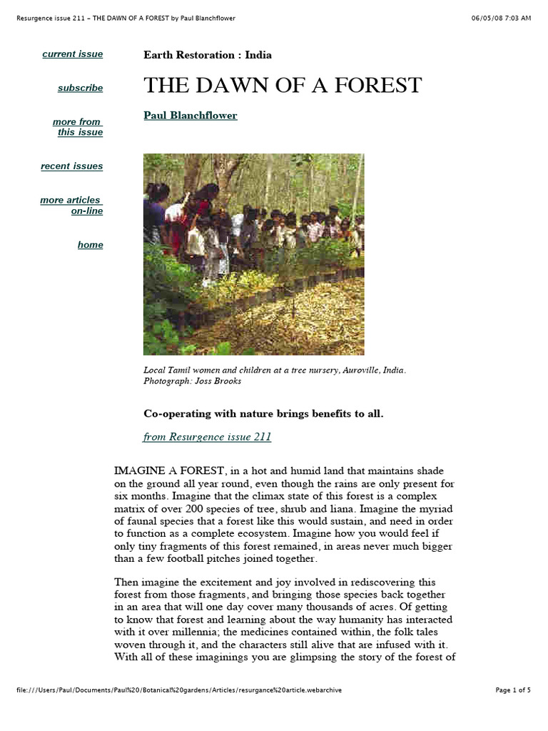 Resurgence Issue 211 - THE DAWN OF A FOREST by Paul Blanchflower | PDF | Trees | Forests