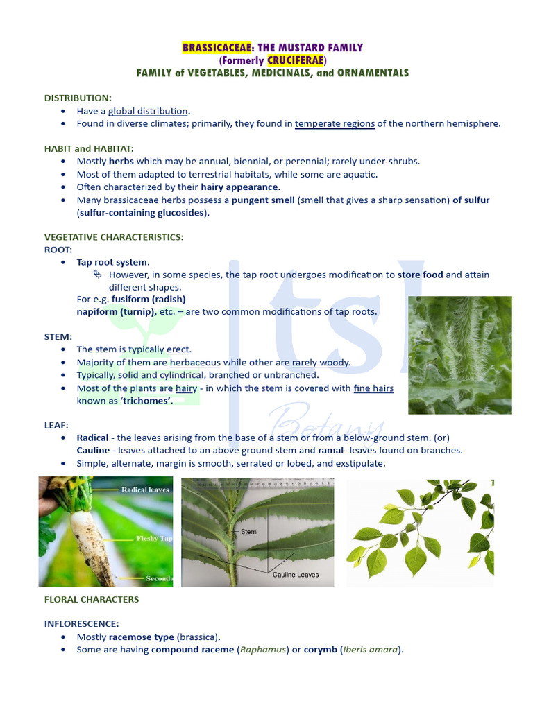Families Added Syllabus | PDF | Plants | Botany