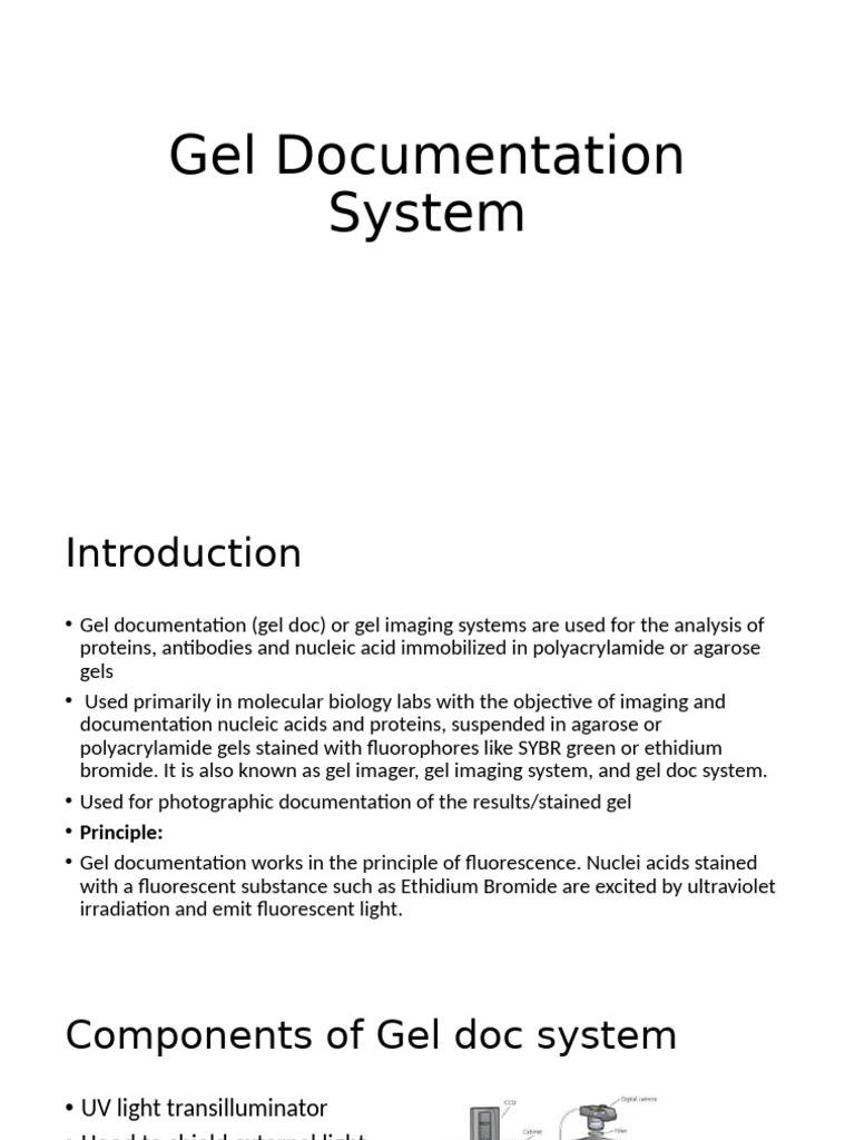 Gel Documentation System 6 | PDF | Gel Electrophoresis | Agarose Gel ...