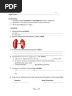 Math p6 Questions From Nesa | PDF | Area