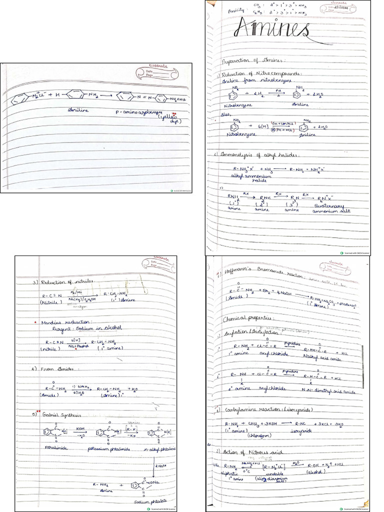 Amines 1 - 9 (2 Files Merged) | PDF