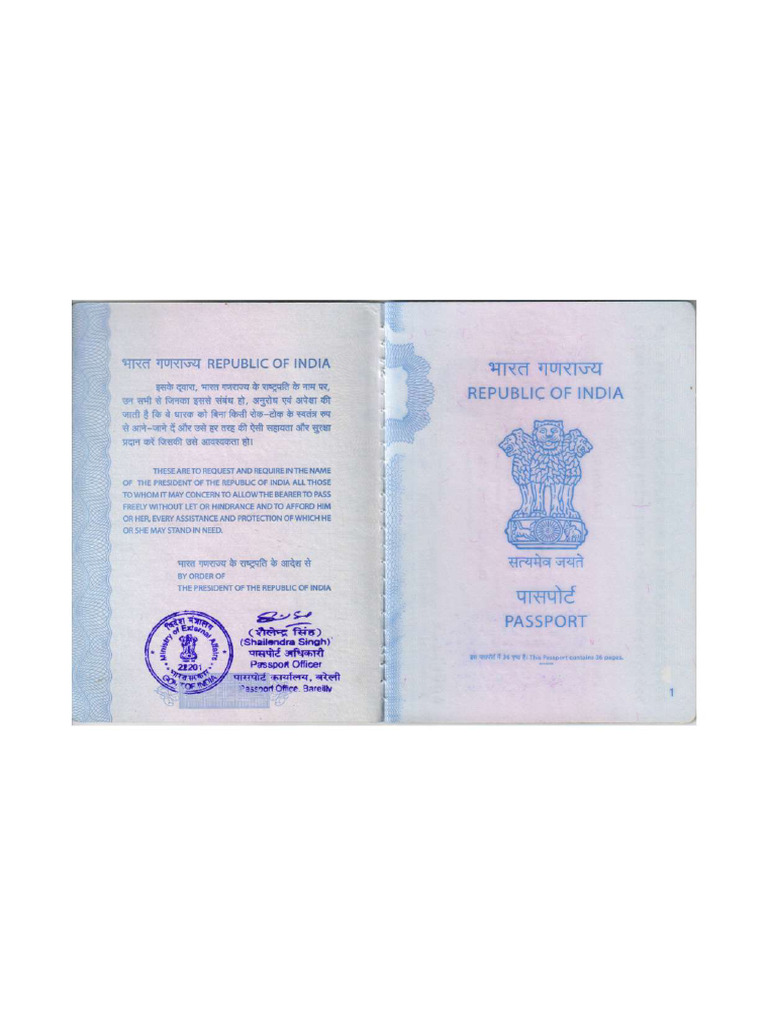 Mohd Sahil Pass | PDF