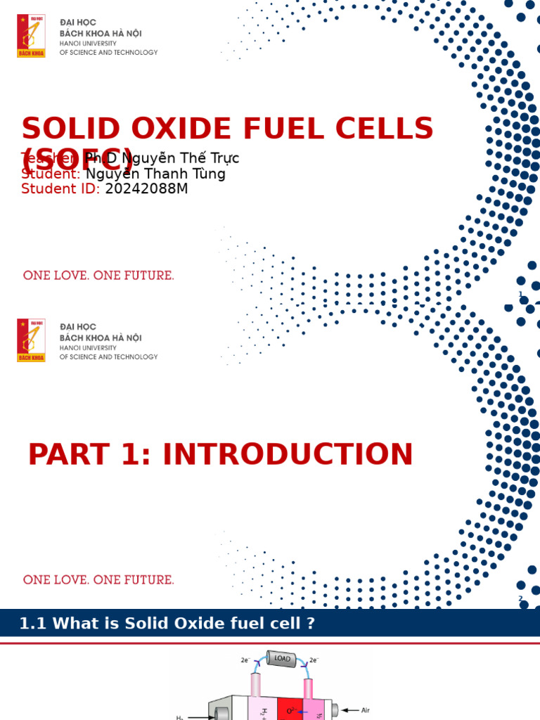 Nguyen Thanh Tung - 20242088M - Chapter 9 - Solid Oxide Fuel Cells ...