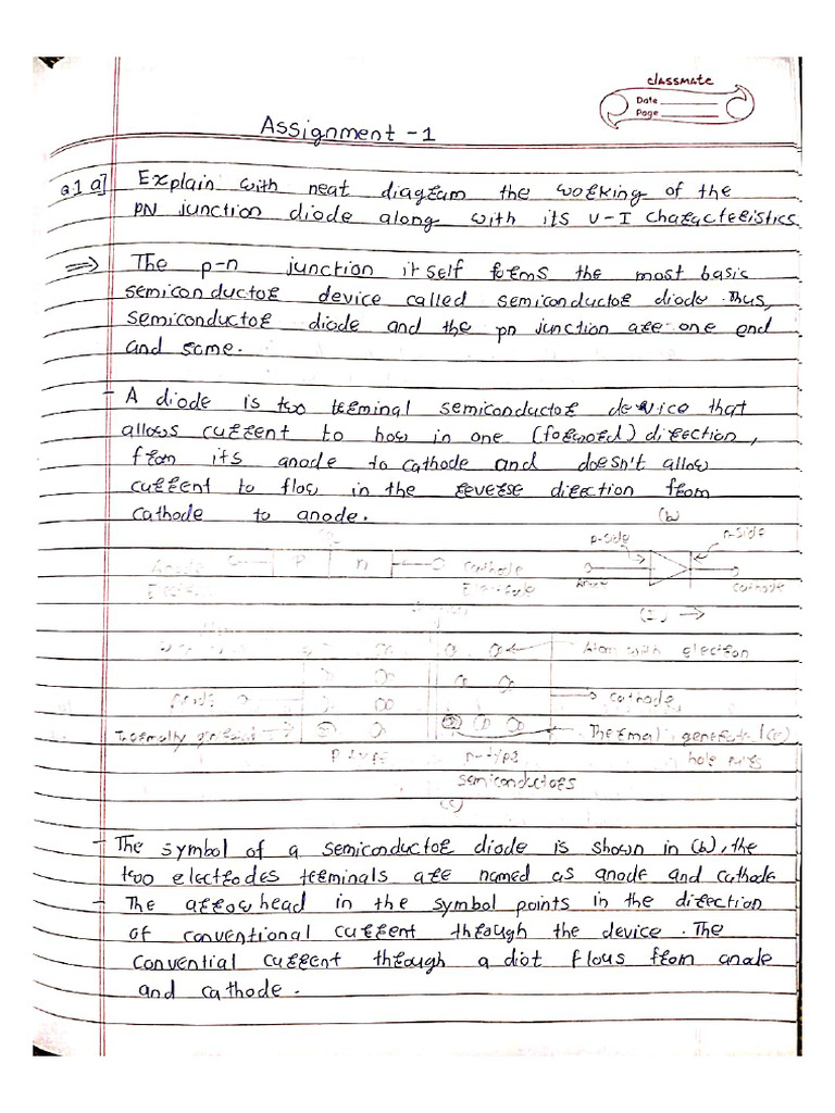 BXE Assignment | PDF