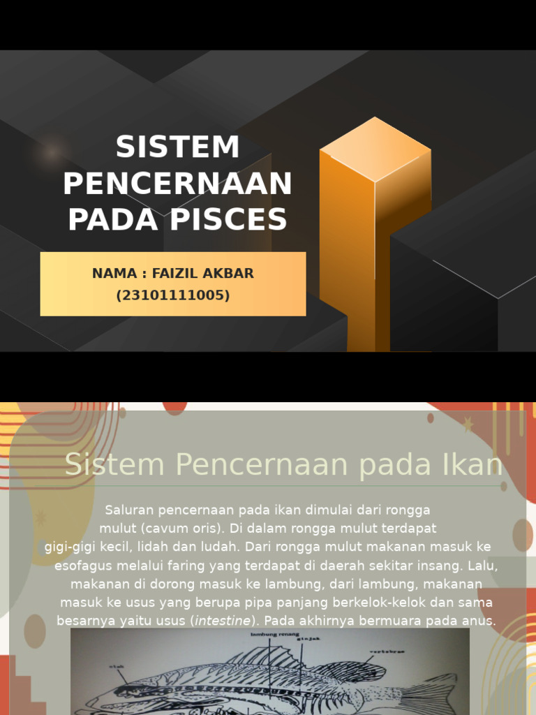 Faizil Akbar (23101111005) Sistem Pencernaan Pada Pisces | PDF